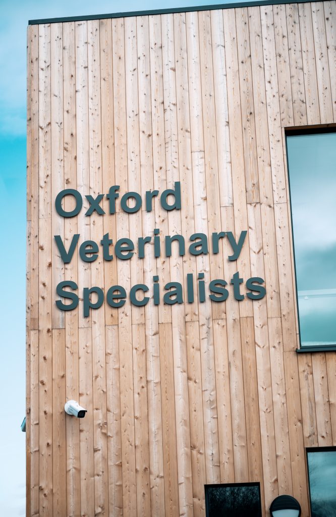 Oxford Vet Specialists | Qualified Experts
